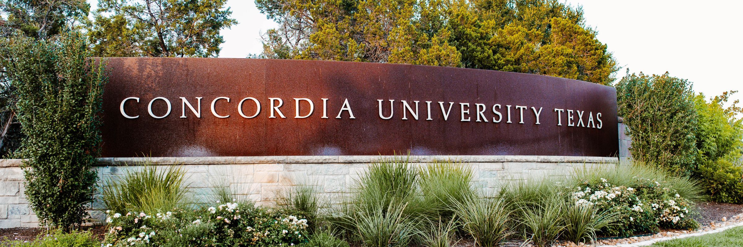 H4 to F1 Change of Status: Your Guide with Day 1 CPT Universities